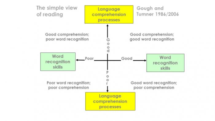 What Do We Mean When We Talk About Reading and Writing Fluency 